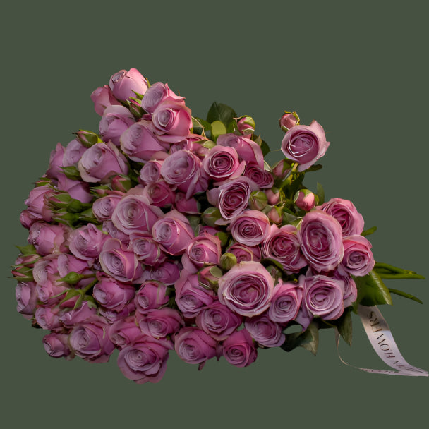 Purple Spray Roses with Ribbon | Golden Flowers Chicago